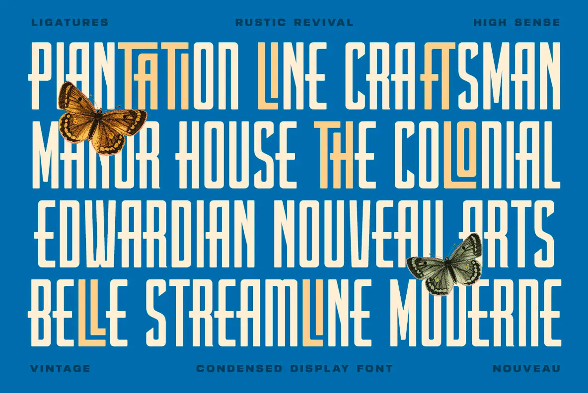 Rustic Revival Font - YouWorkForThem