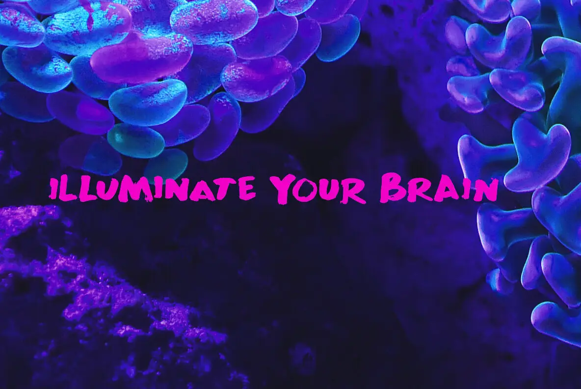 Brain Squeeze Font - FontPath