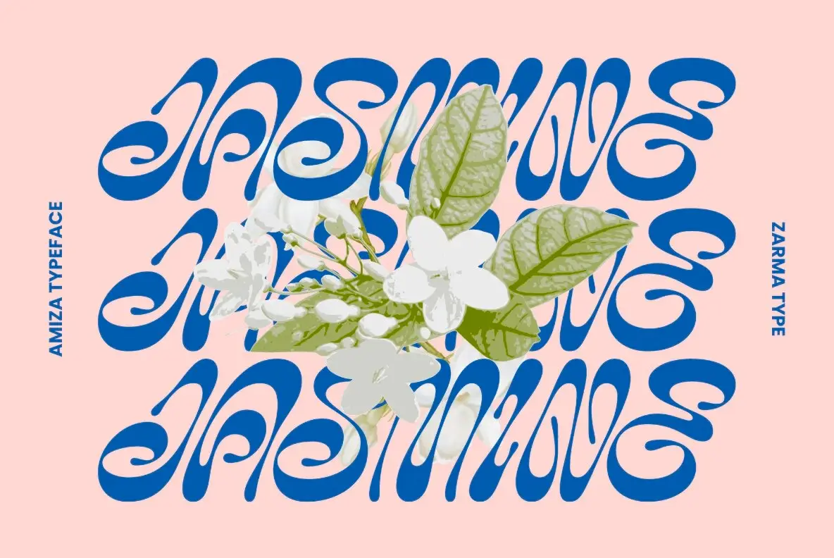 Amiza Font - YouWorkForThem