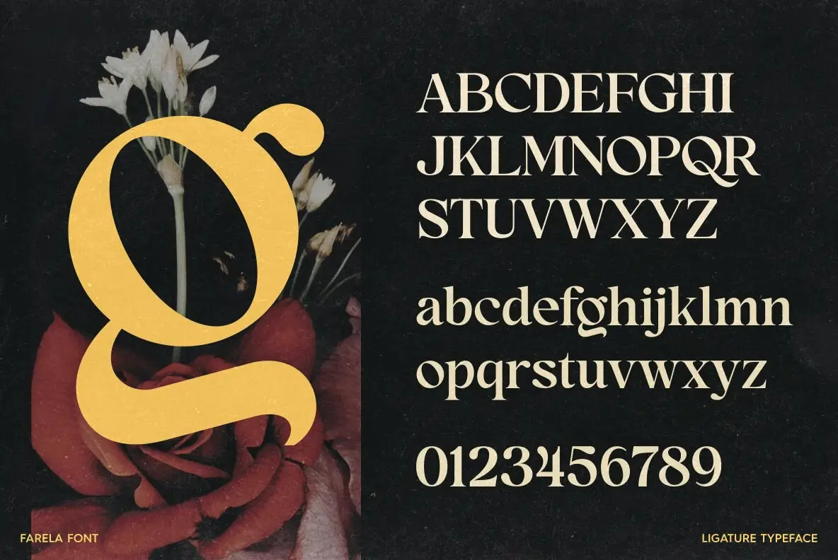 Farela Font - YouWorkForThem