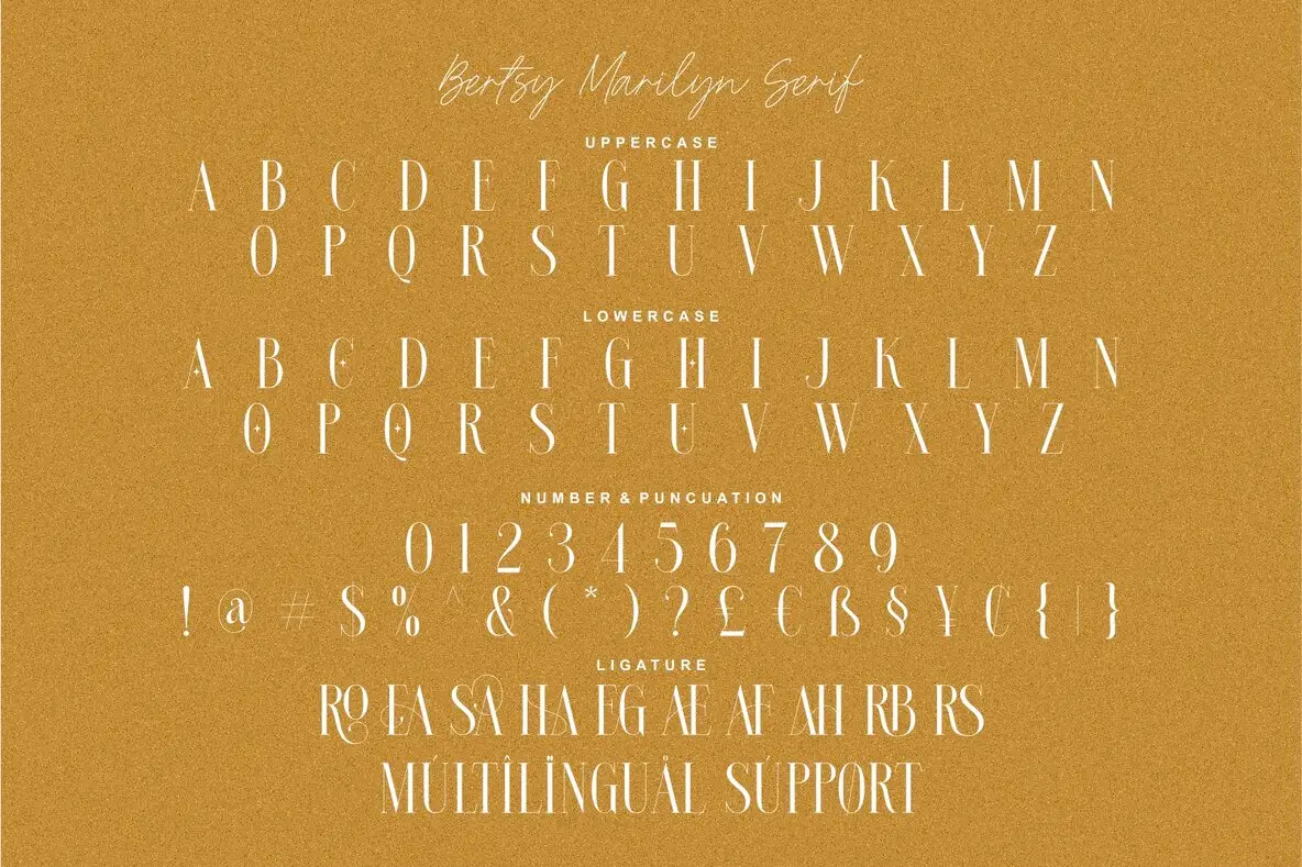 Bersty Marilyn Font - YouWorkForThem