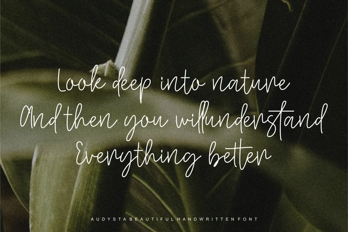 Audysta Font - YouWorkForThem