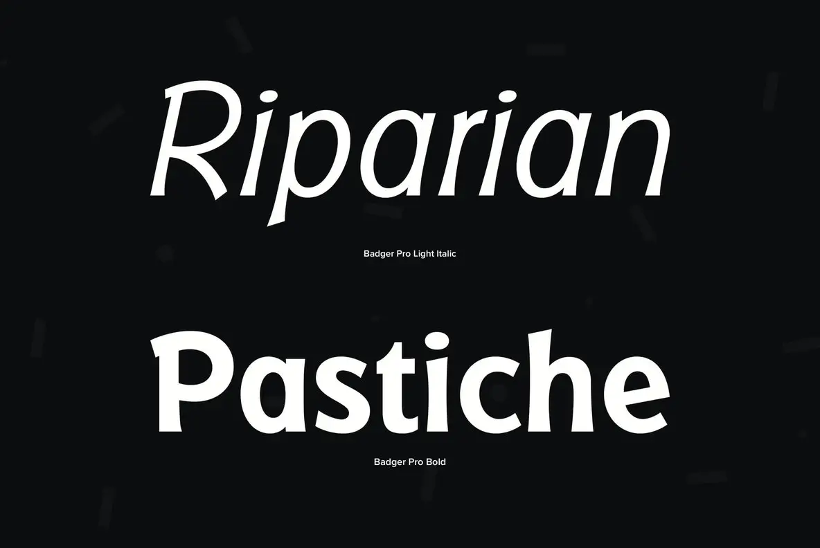 Badger Pro Font - FontPath