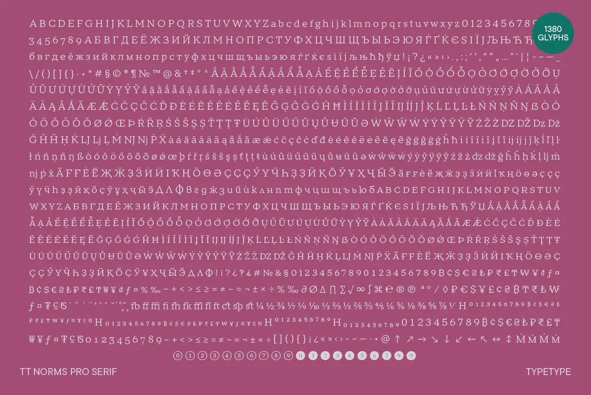 TT Norms® Pro Serif Font - YouWorkForThem