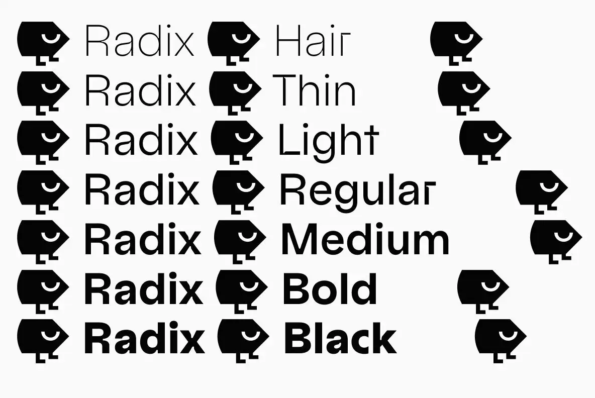 Radix Font - YouWorkForThem