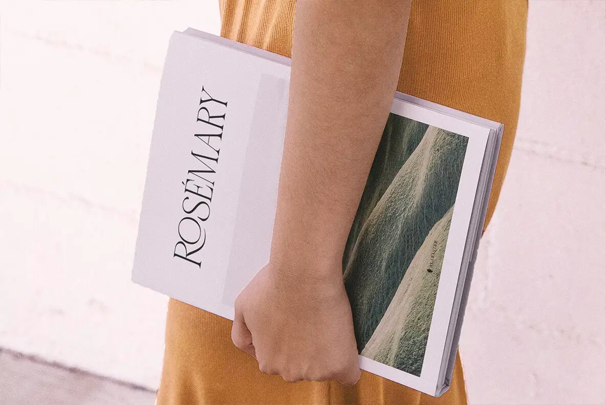 Delicate Calligraphy Font - FontPath