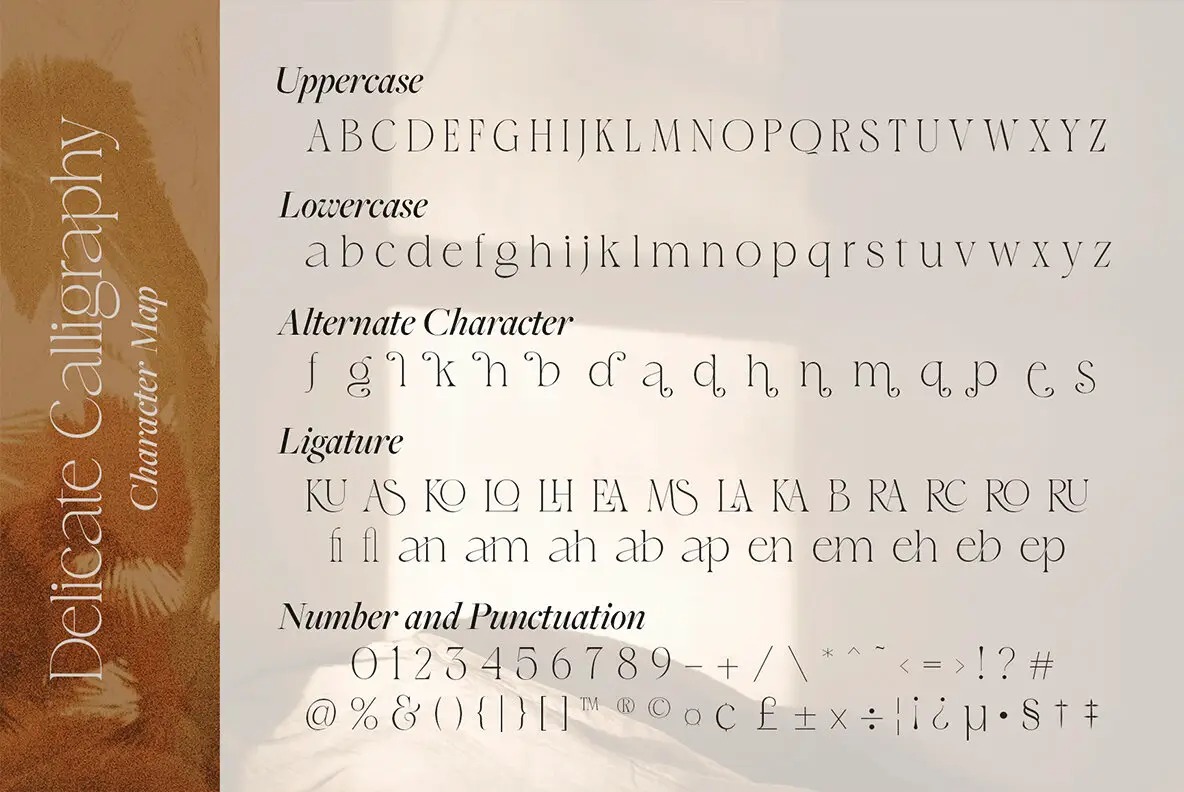 Delicate Calligraphy Font - YouWorkForThem