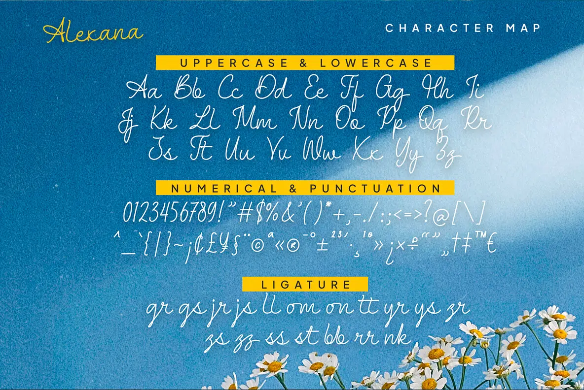 Alexana Font - YouWorkForThem