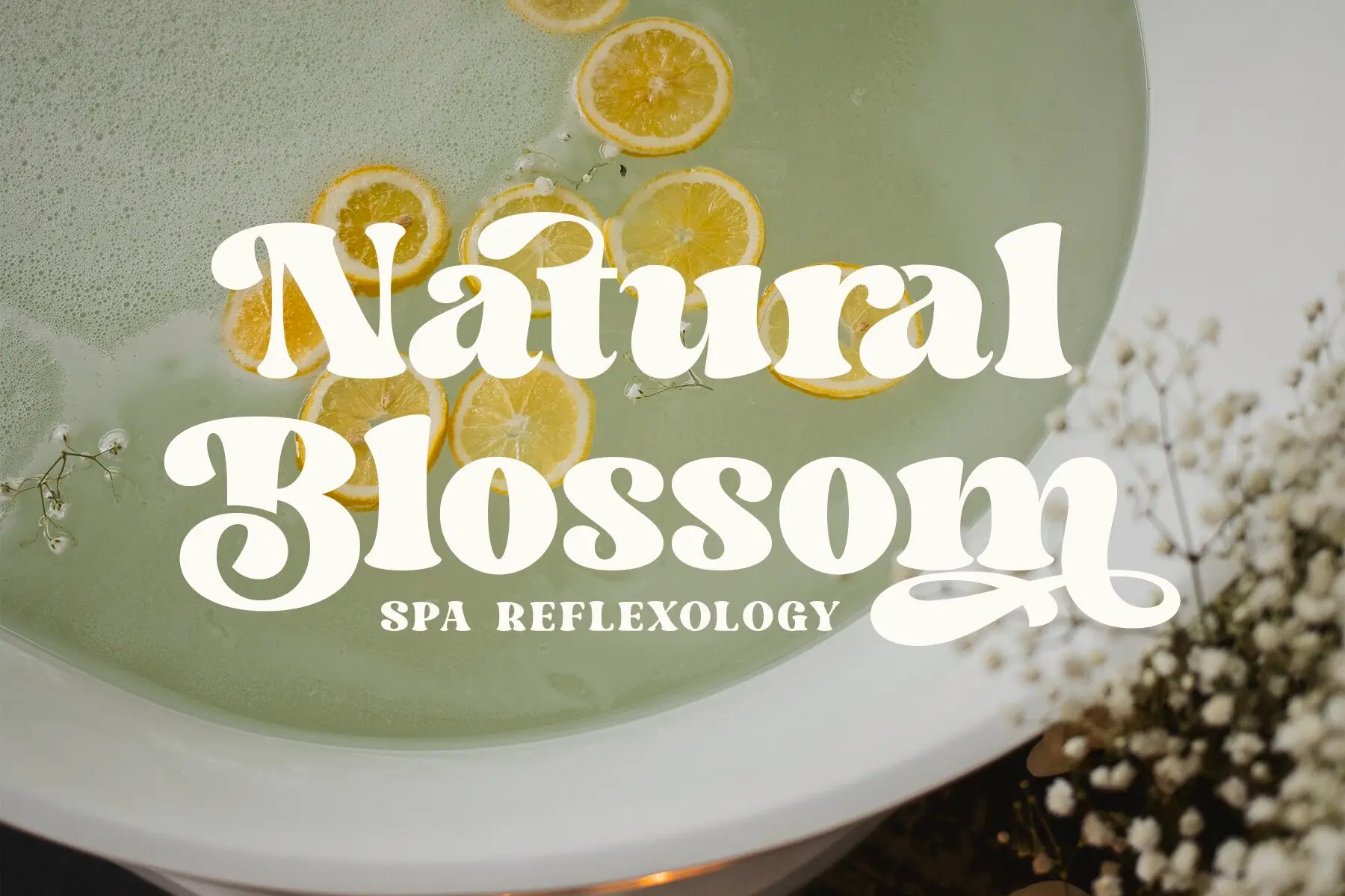 The Beatrix Font - YouWorkForThem