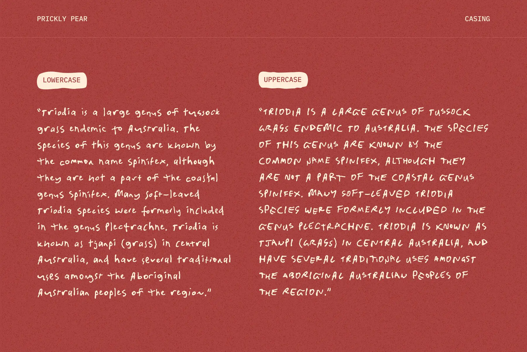 Prickly Pear Font - YouWorkForThem