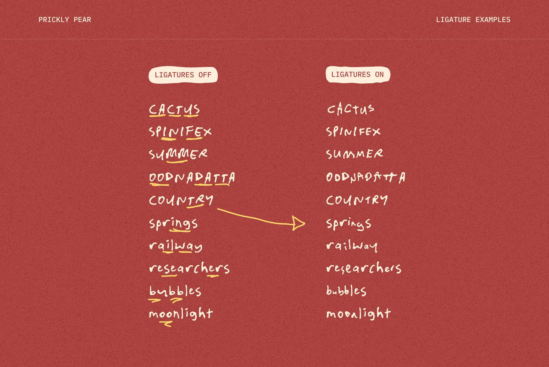 Prickly Pear Font - YouWorkForThem