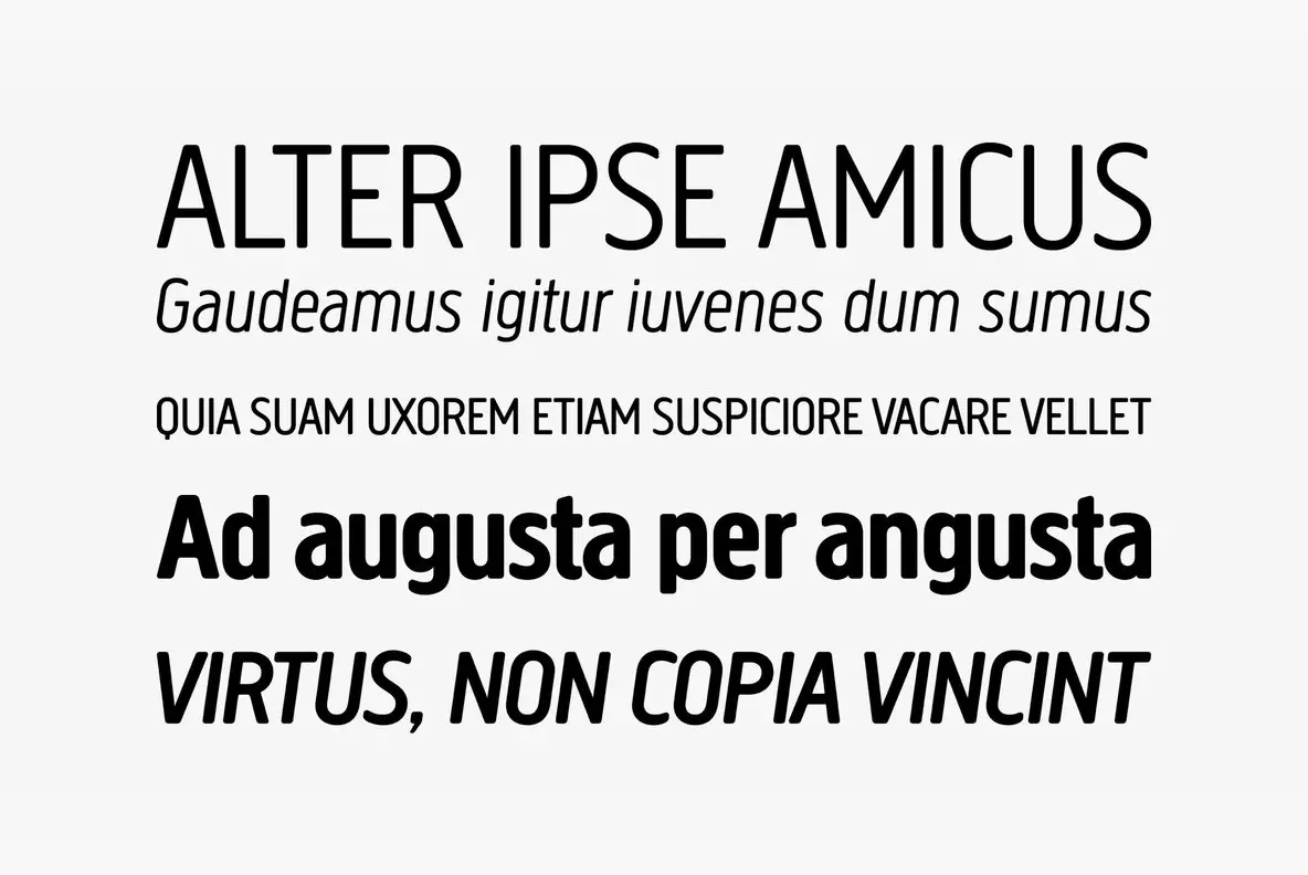 Creighton Pro Font - YouWorkForThem