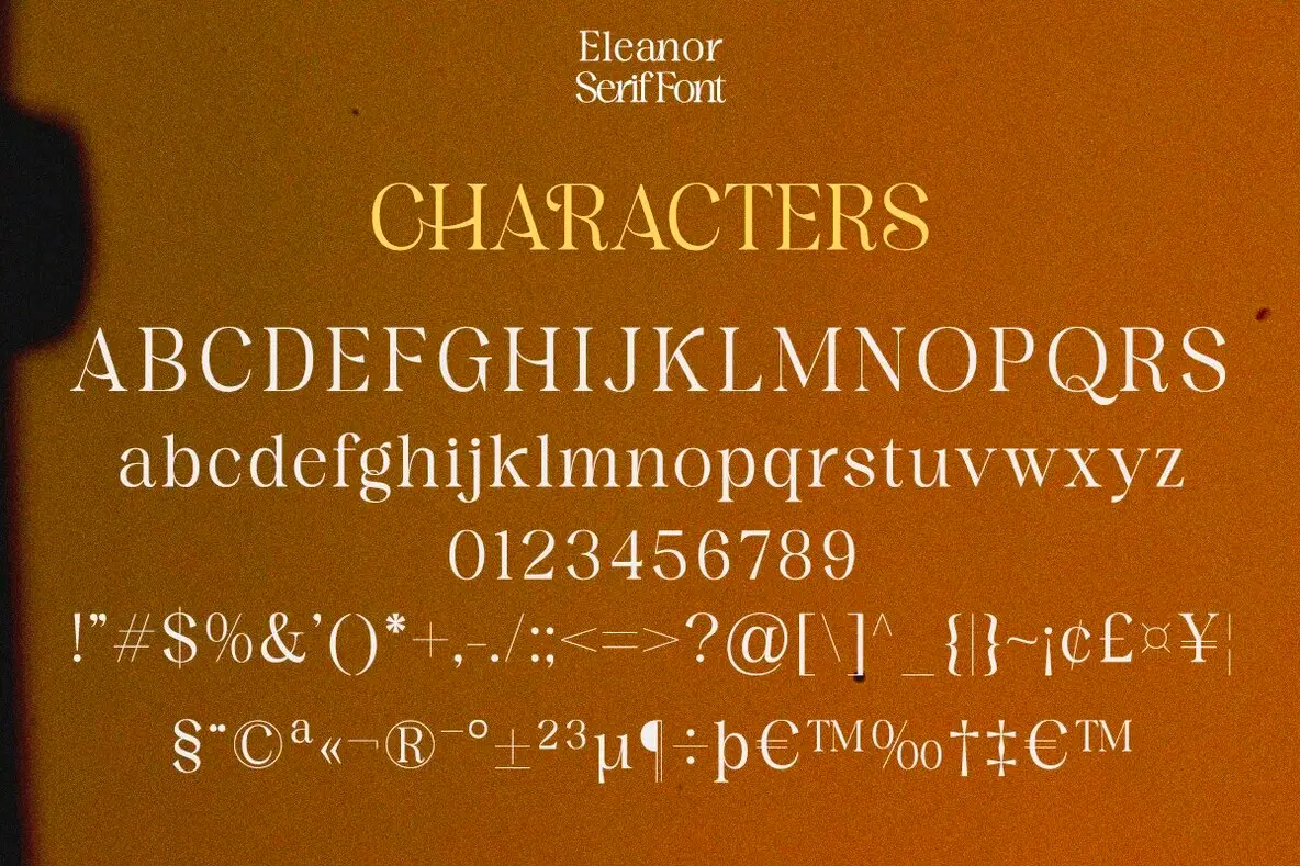 Eleanor Font - YouWorkForThem