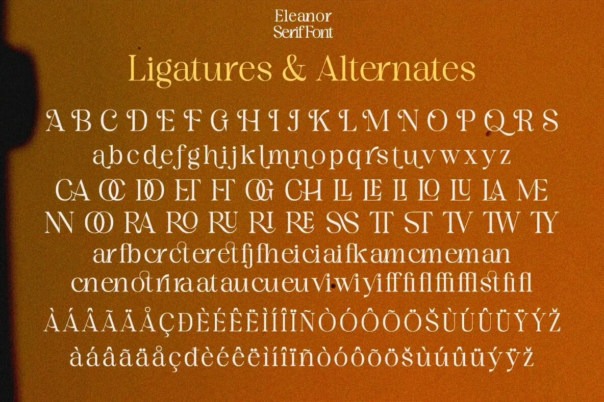 Eleanor Font - YouWorkForThem