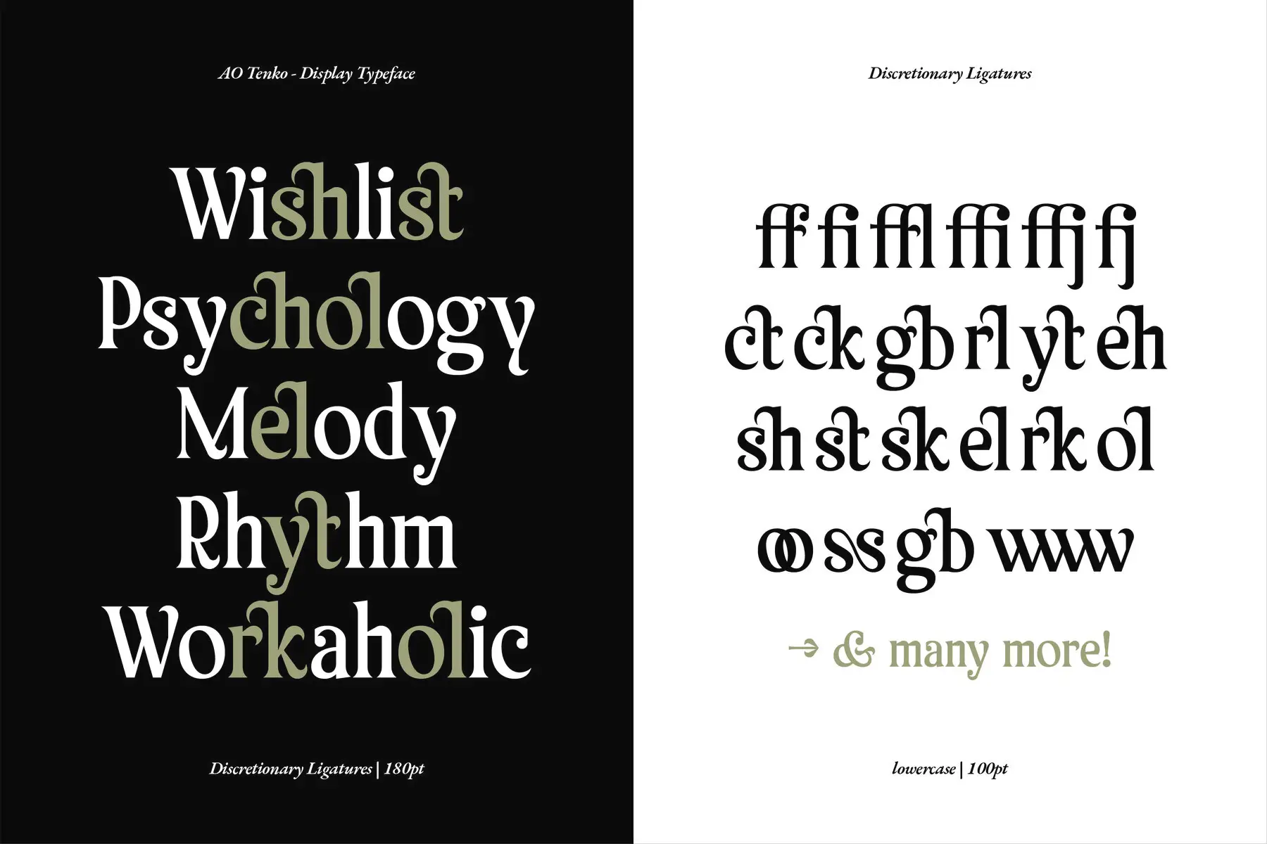 AO Tenko Font - YouWorkForThem
