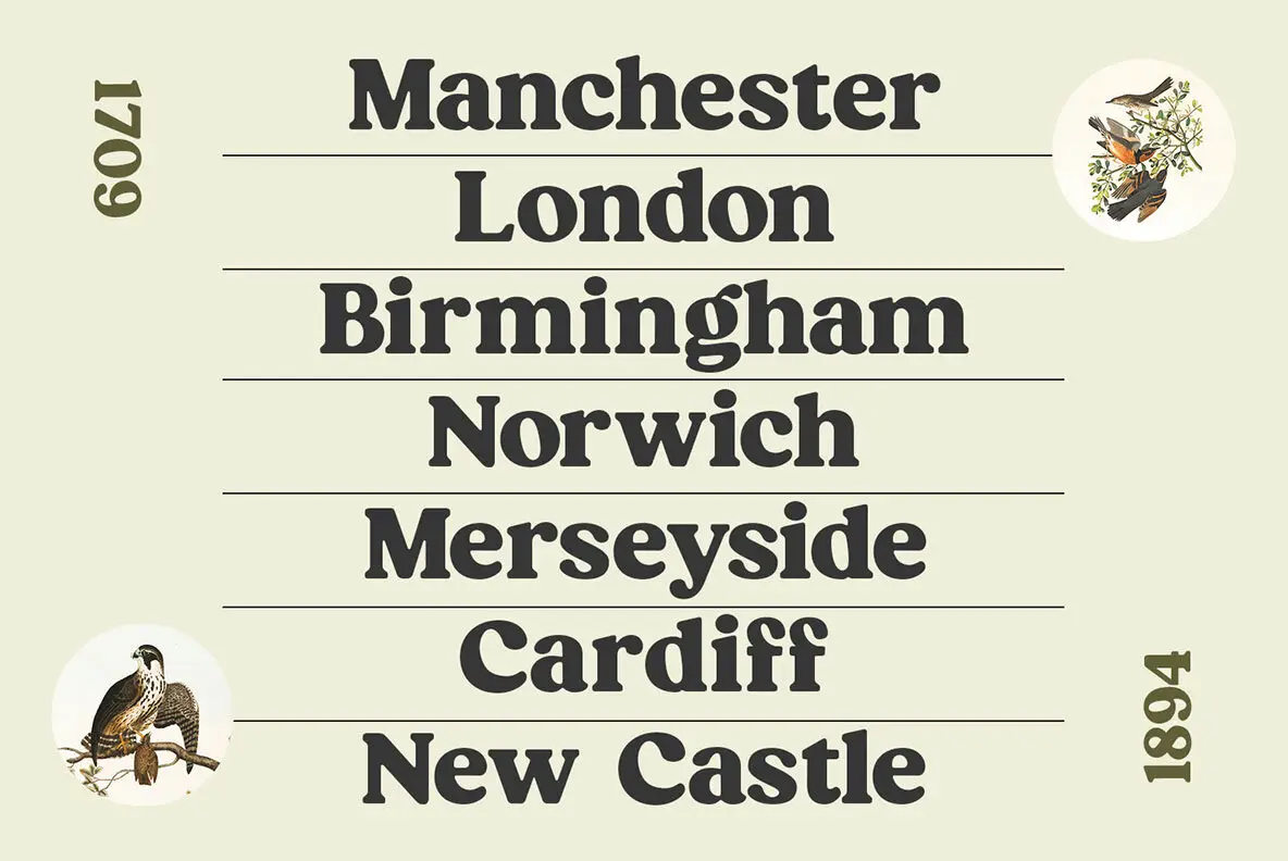 Magical Night Font - YouWorkForThem