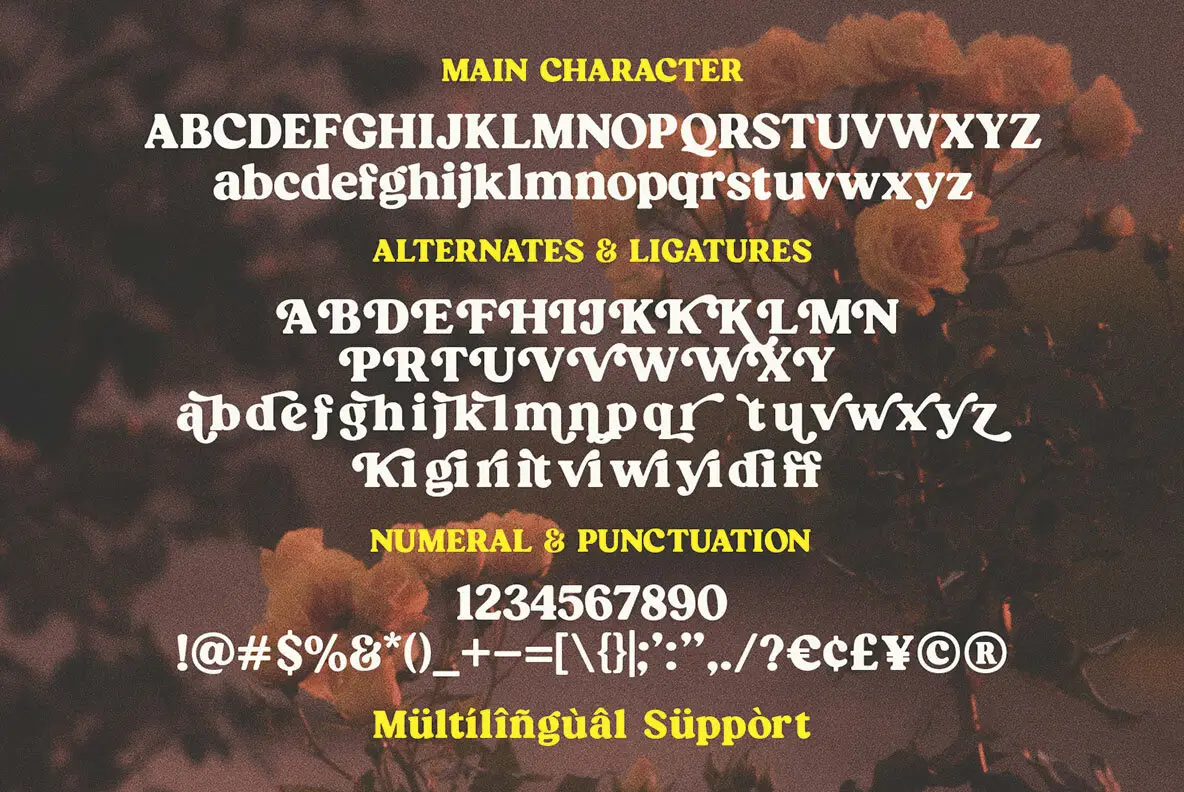 Magical Night Font - YouWorkForThem