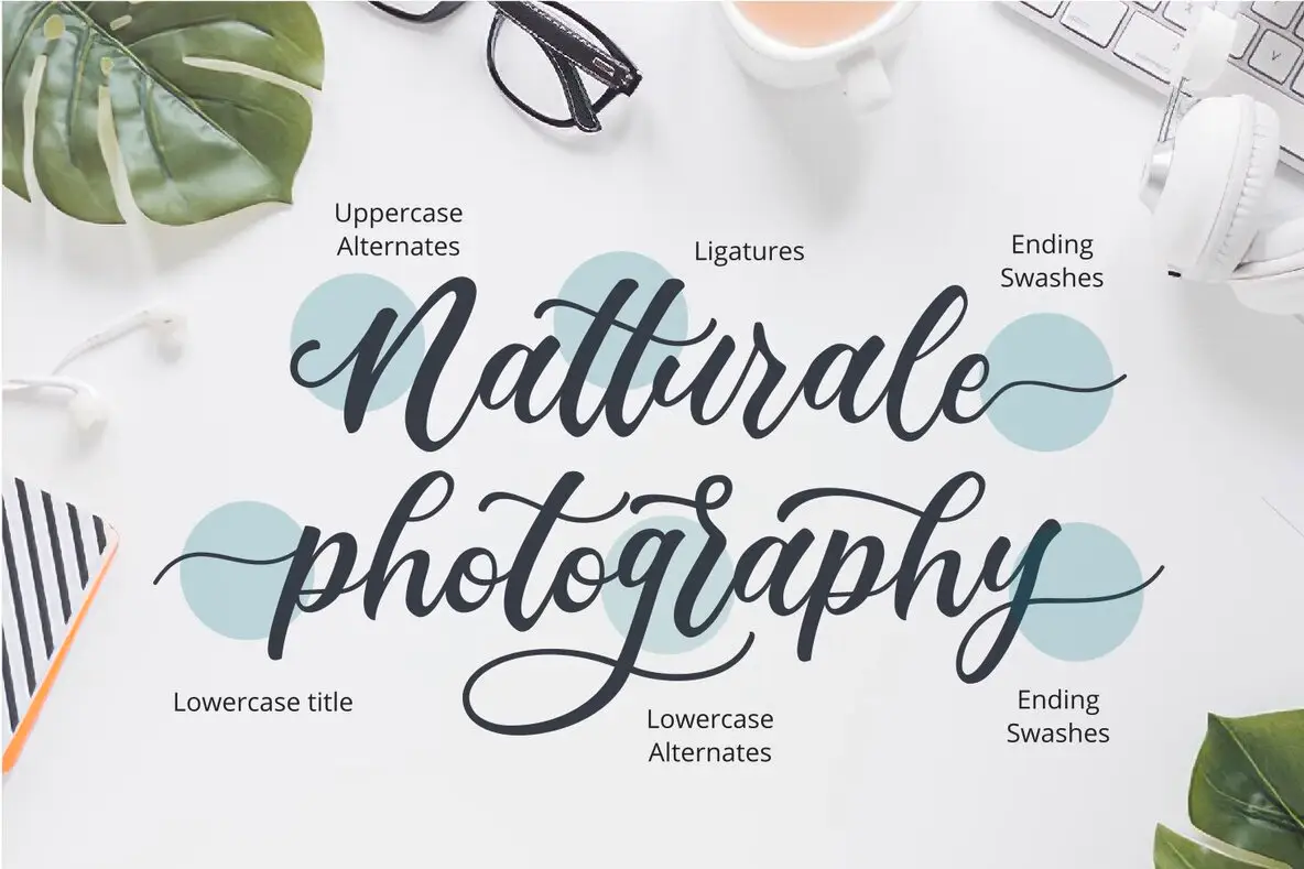 Madista Calligraphy Font - YouWorkForThem