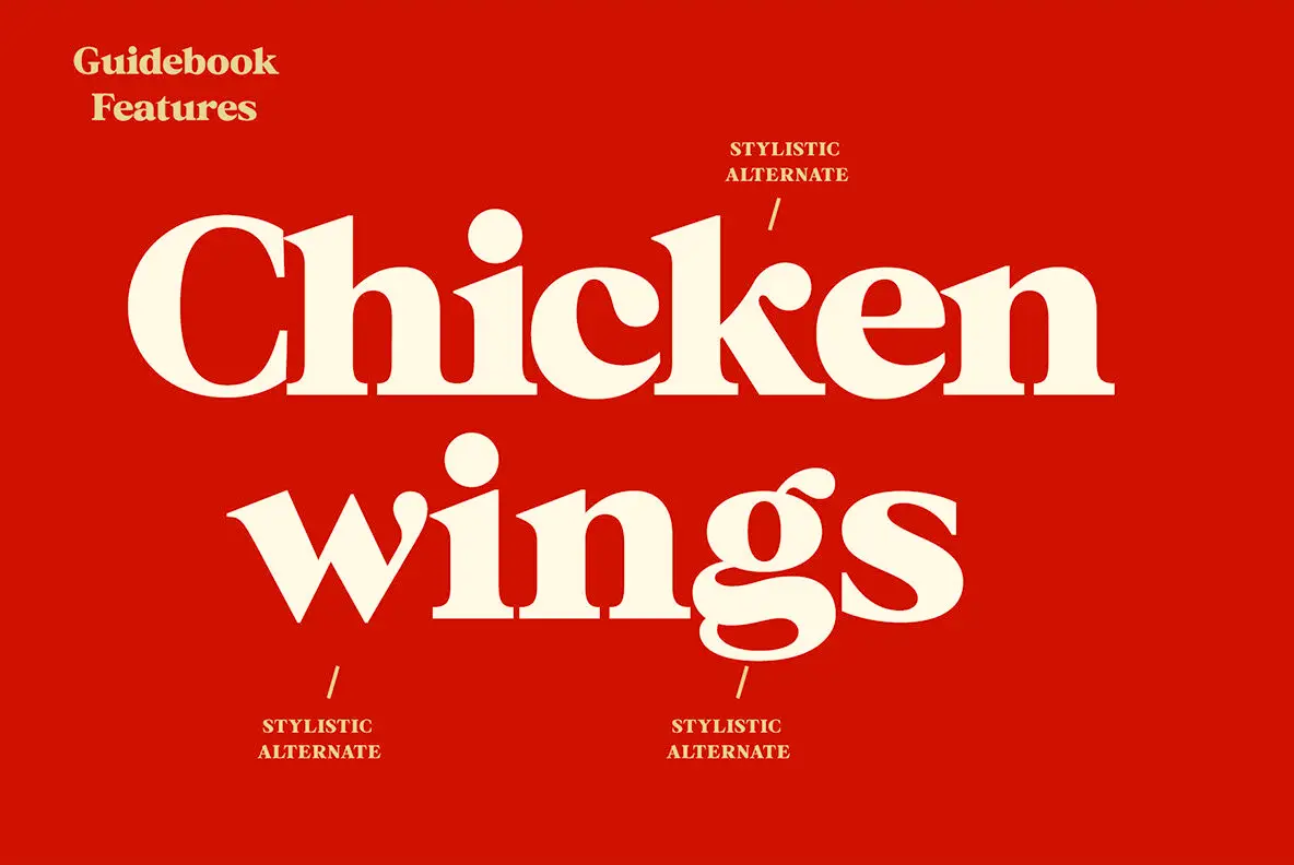 Guidebook Font - YouWorkForThem