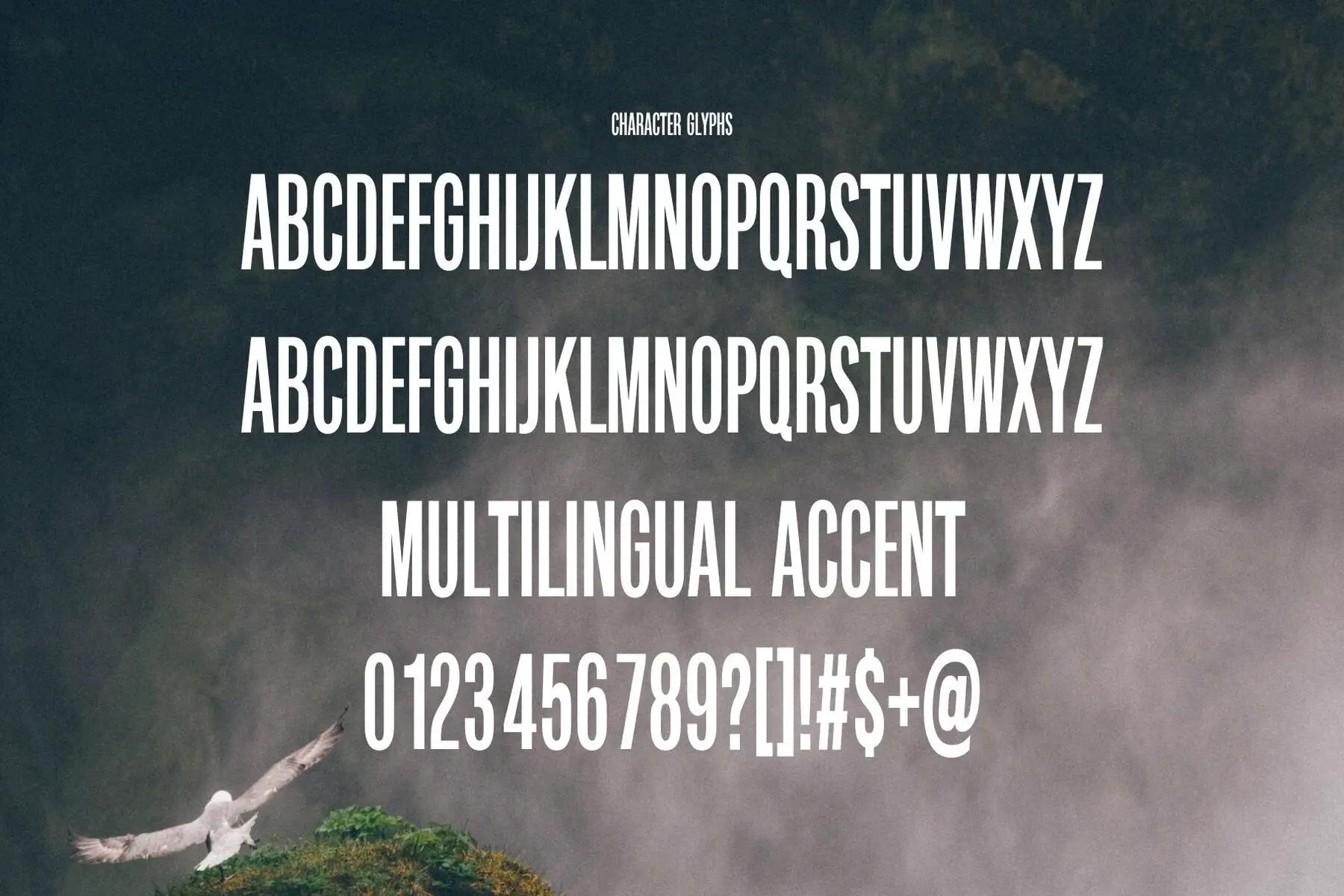 Working Font - YouWorkForThem