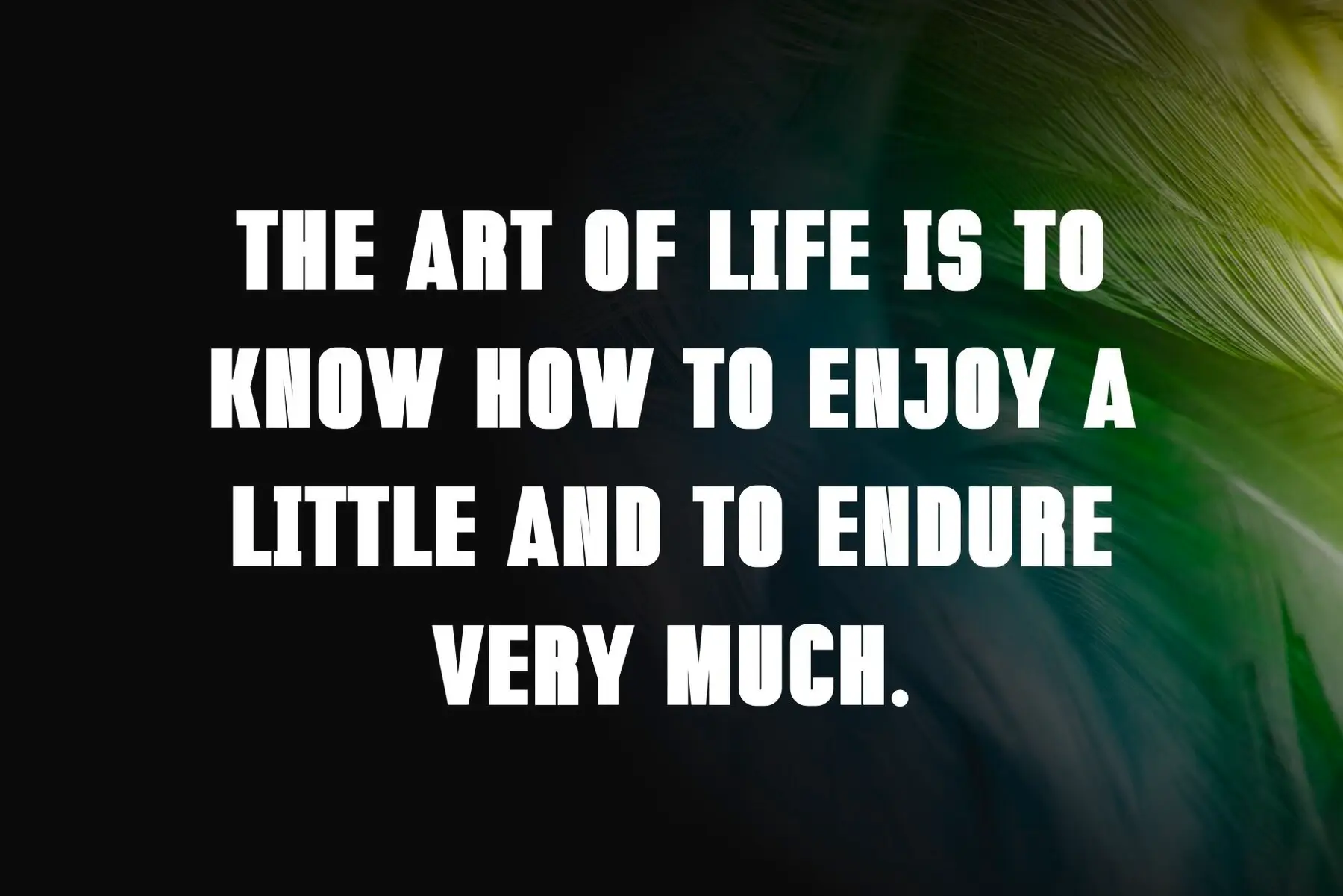 Never Font - YouWorkForThem