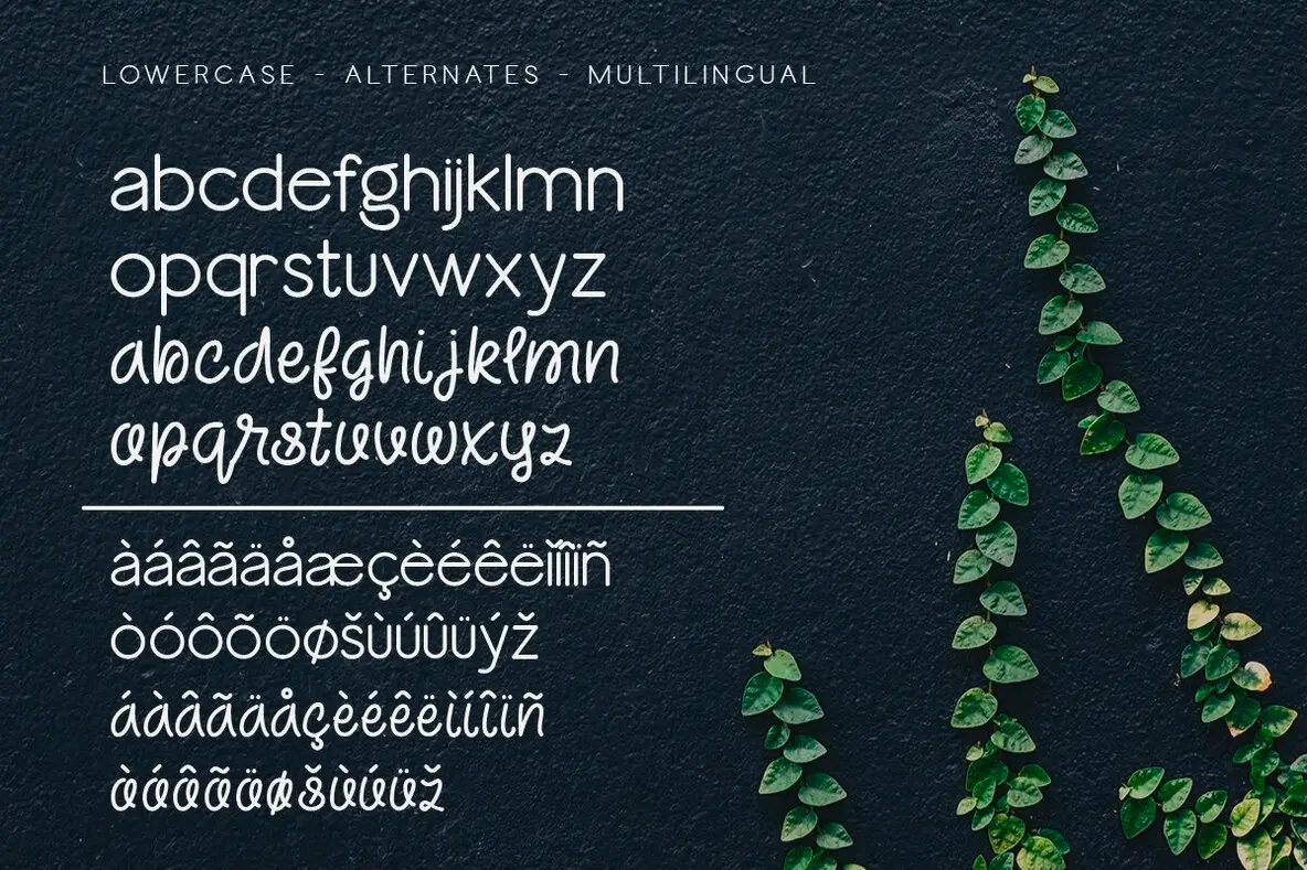 Freak Mailers Font - FontPath