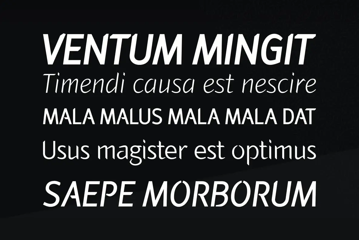 Hemingway Pro Font - FontPath