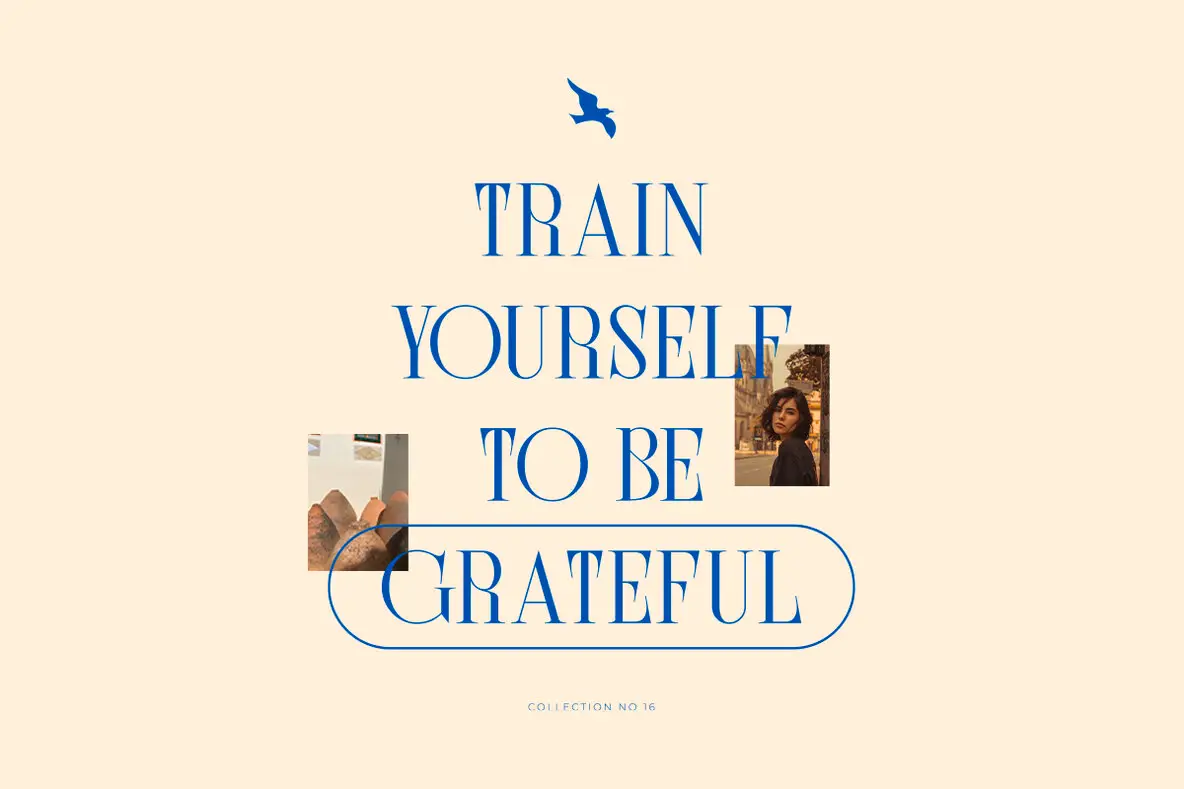 Song Bird Font - YouWorkForThem