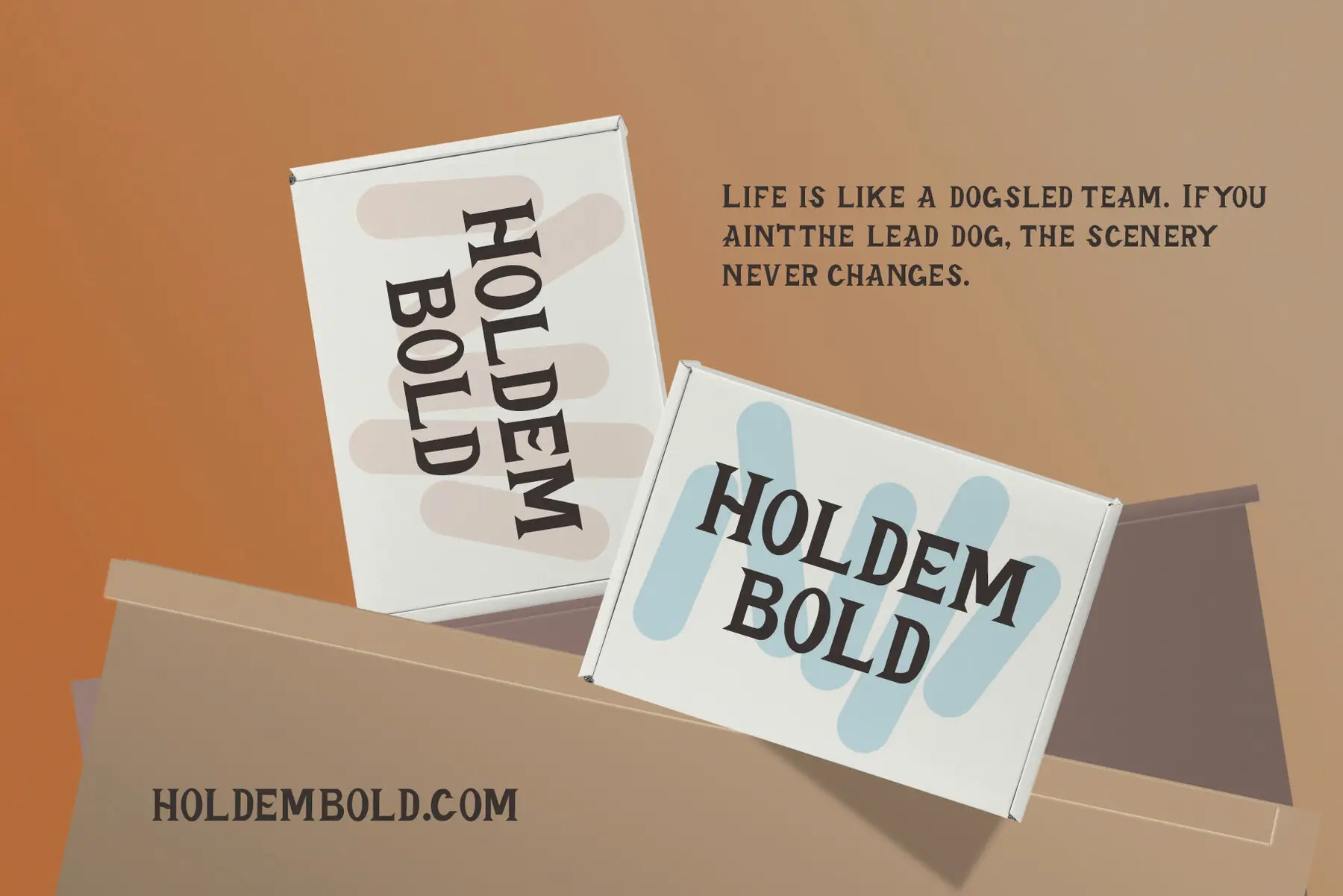 Heidar Font - YouWorkForThem