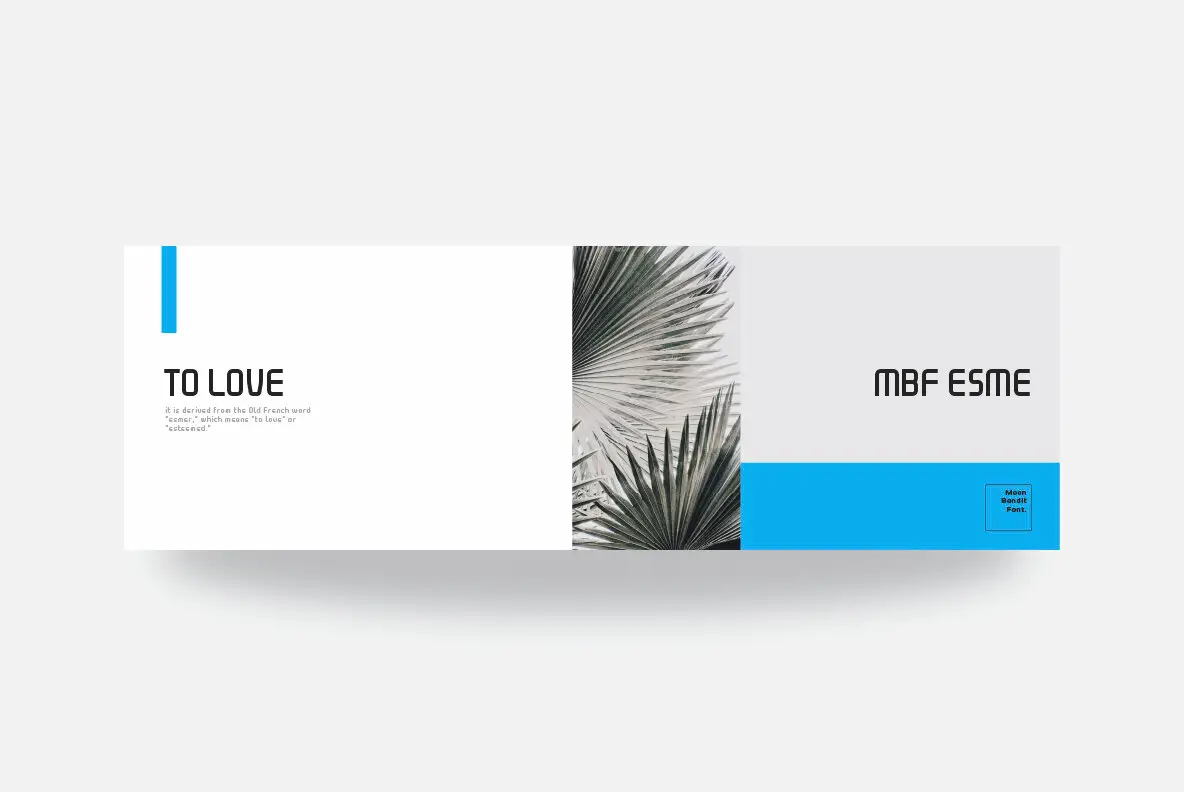 MBF Esme Font - YouWorkForThem