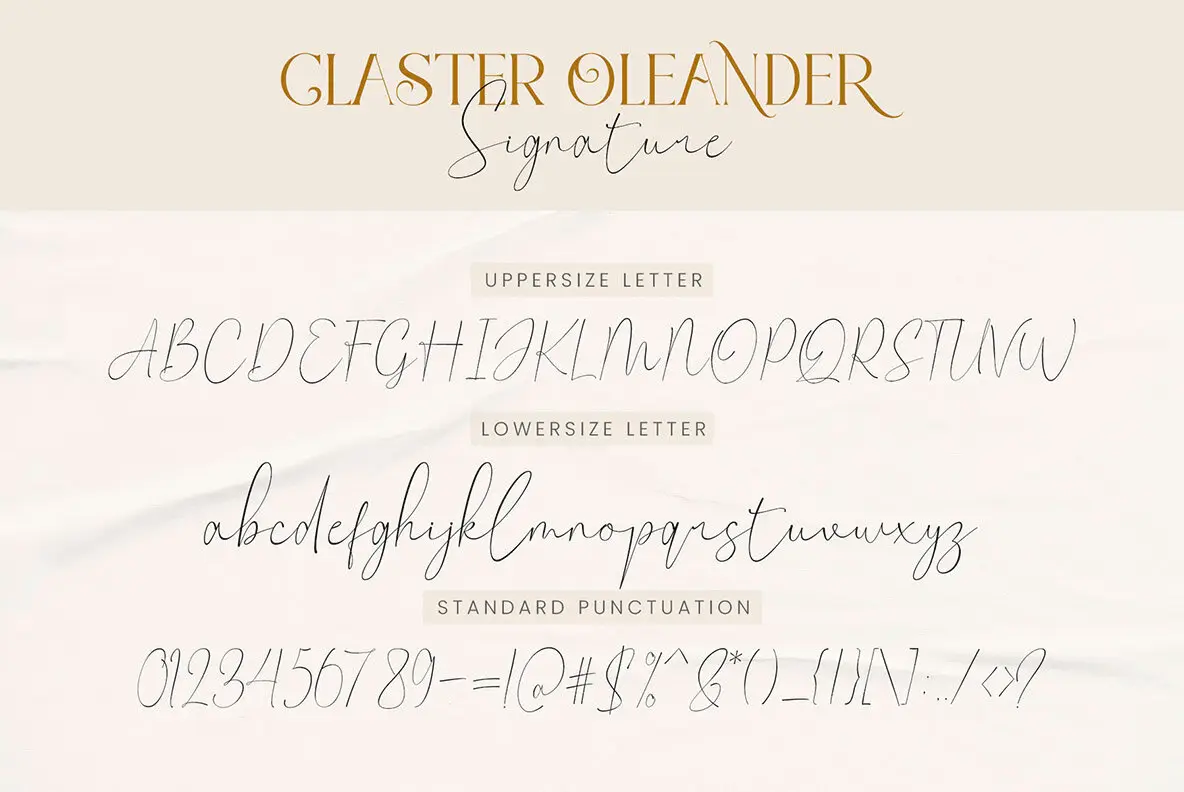 Claster Oleander Font - YouWorkForThem