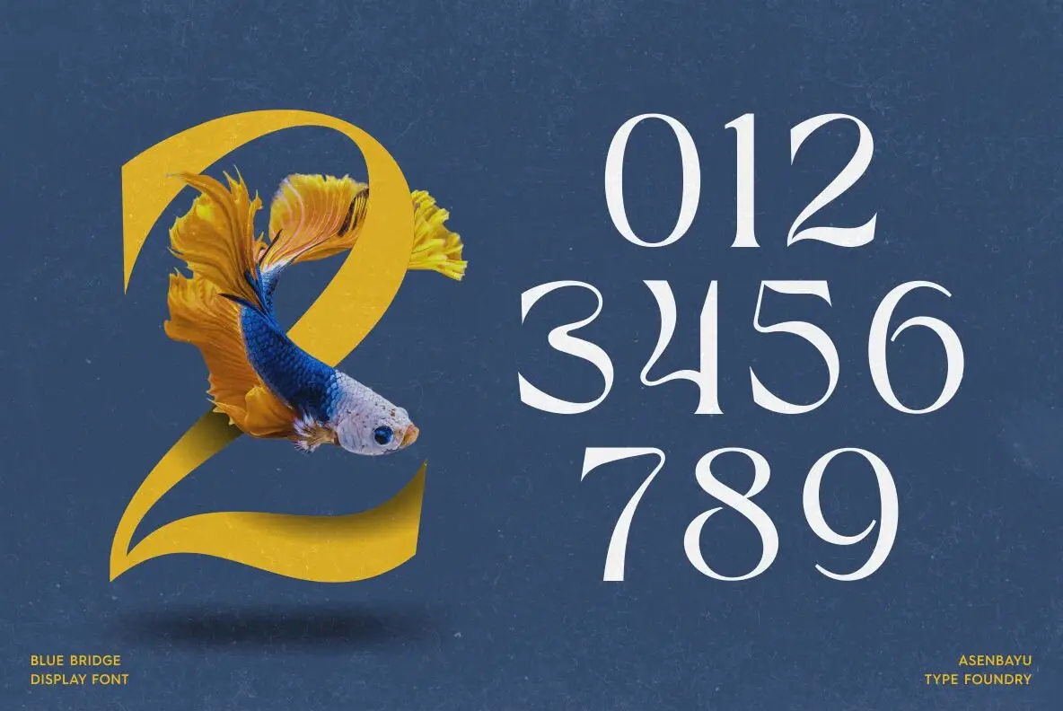 Blue Bridge Font - YouWorkForThem