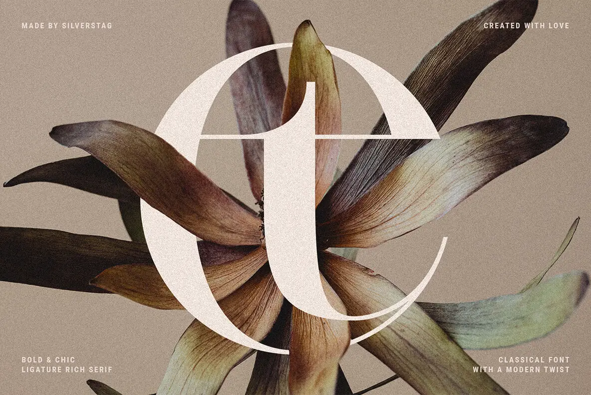 Archer Display Font - FontPath