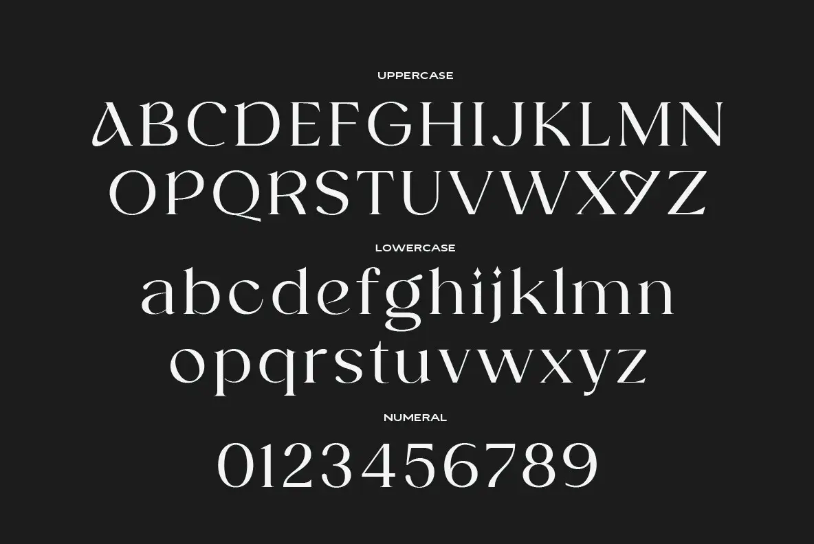 Selvia Genatu Font - YouWorkForThem