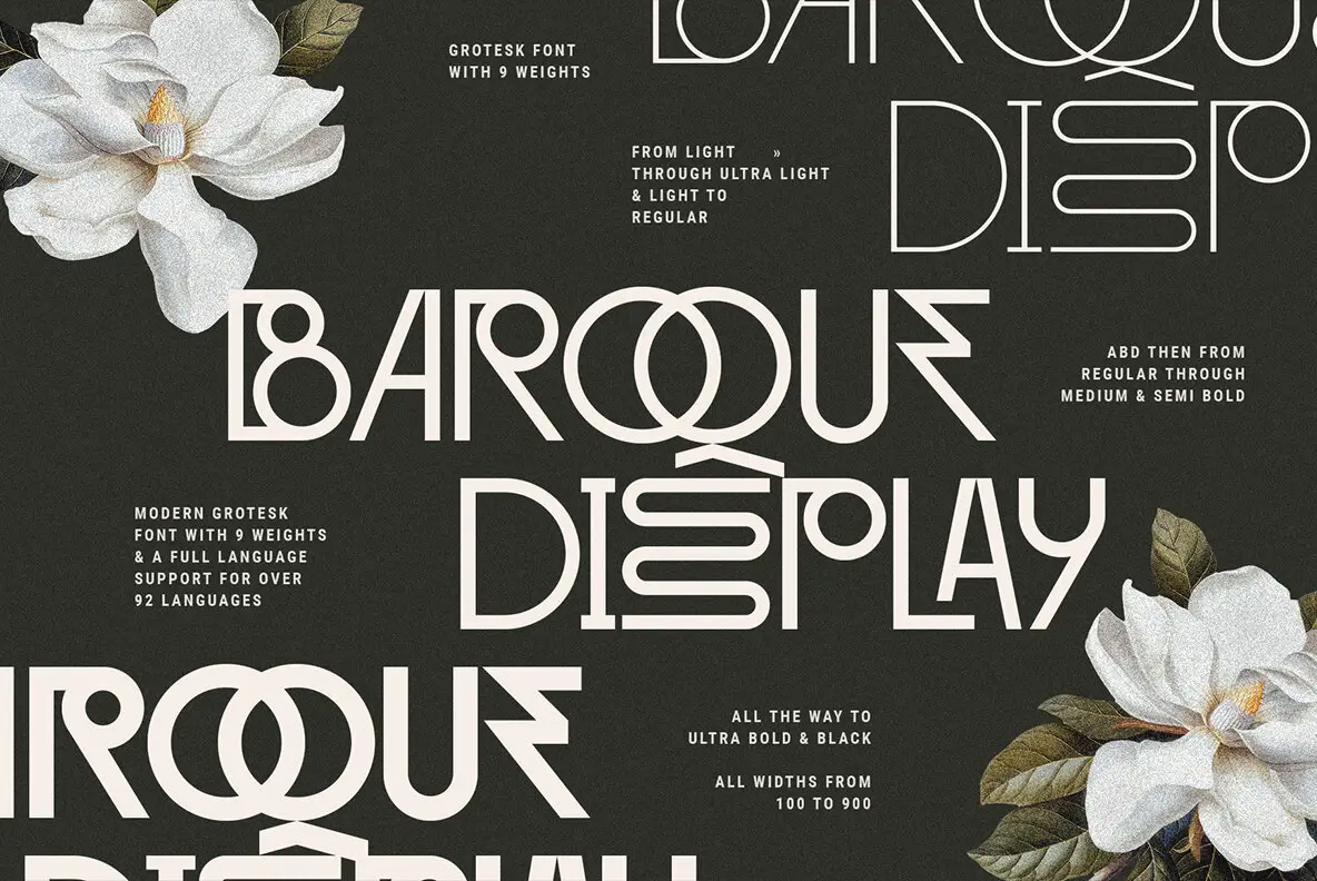Baroque Grotesk Font - YouWorkForThem