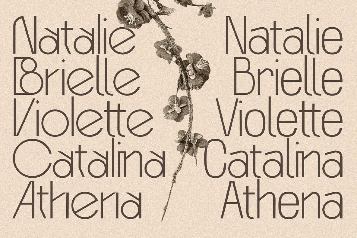 Baroque Grotesk Font - YouWorkForThem