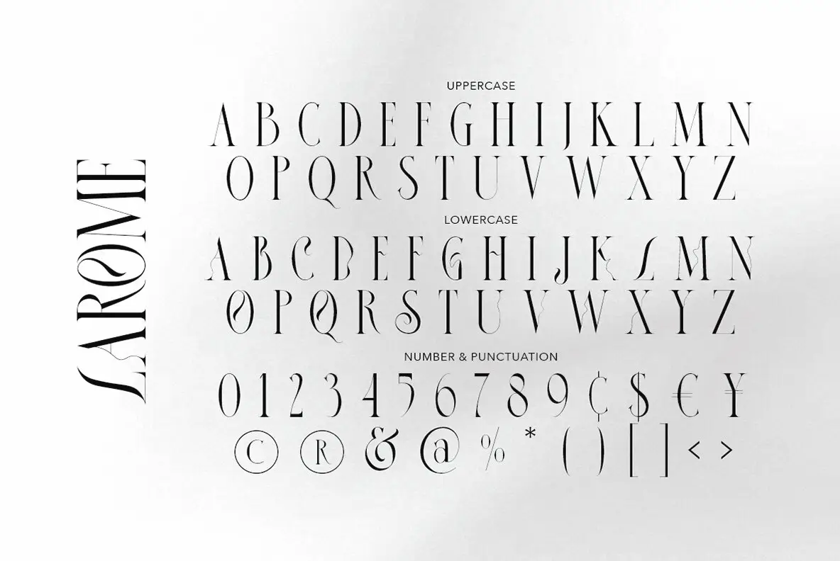 Larome Font - YouWorkForThem