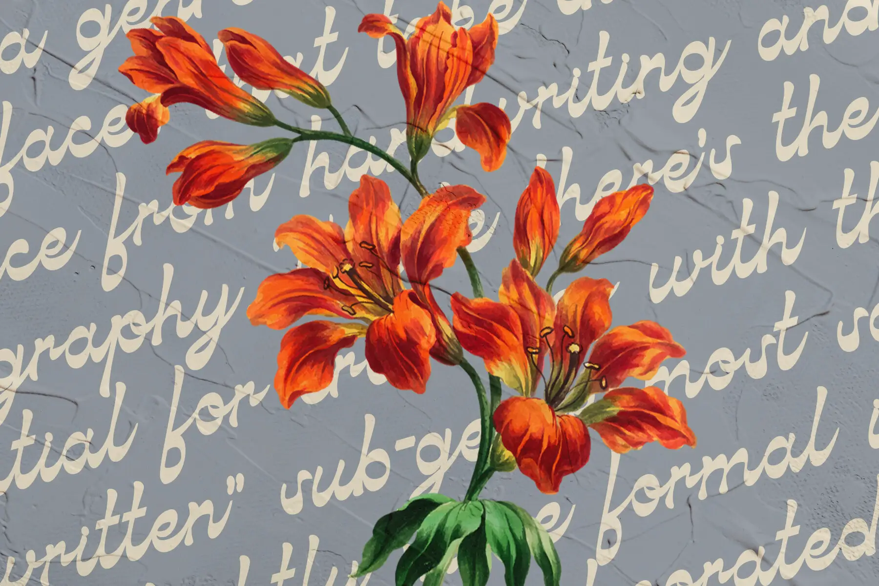 Fresh Blushes Font - YouWorkForThem