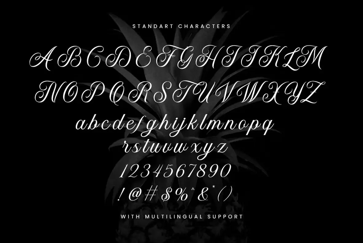Kalinda Font - YouWorkForThem