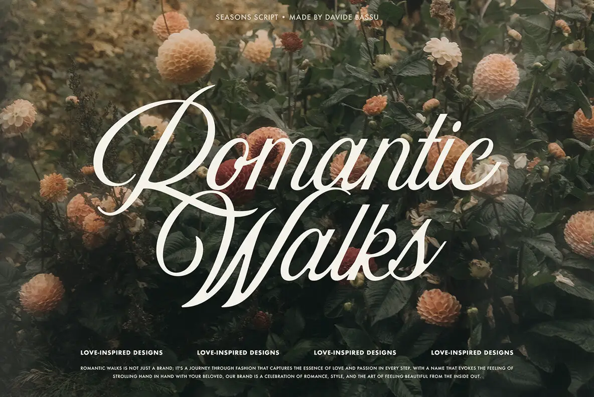 Seasons Script Font - YouWorkForThem