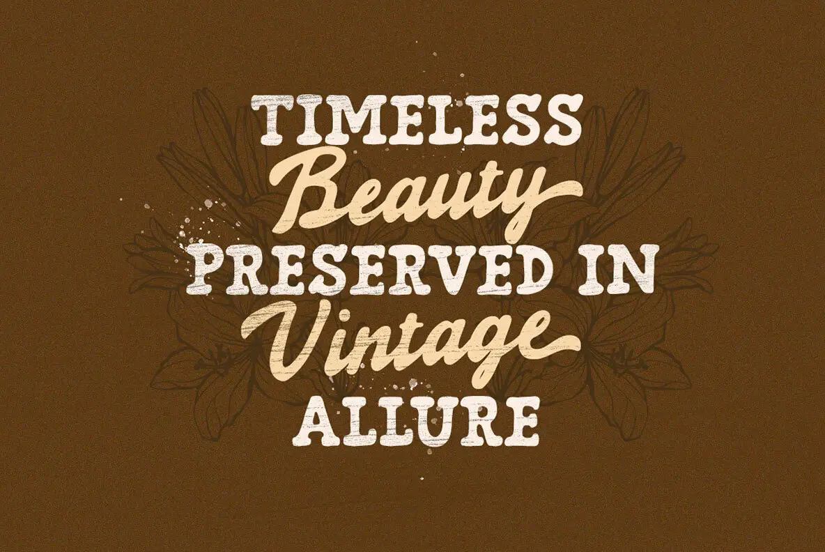Timeless Radiance Font - YouWorkForThem