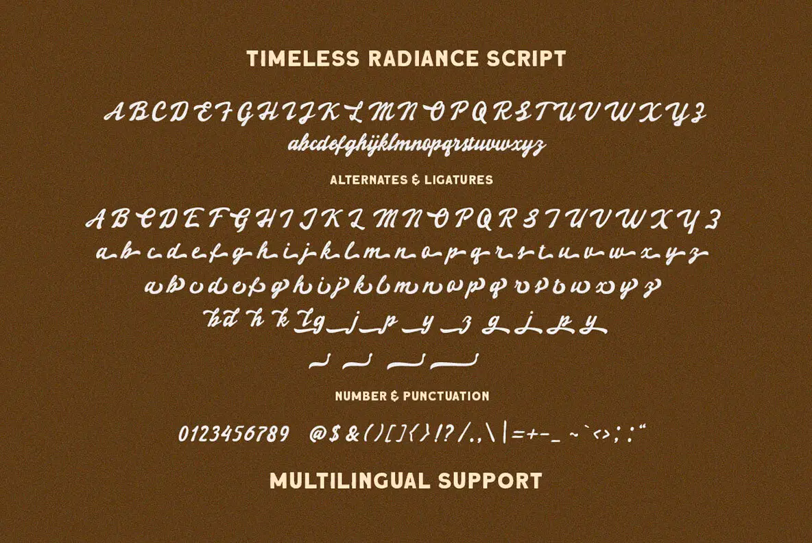 Timeless Radiance Font - YouWorkForThem