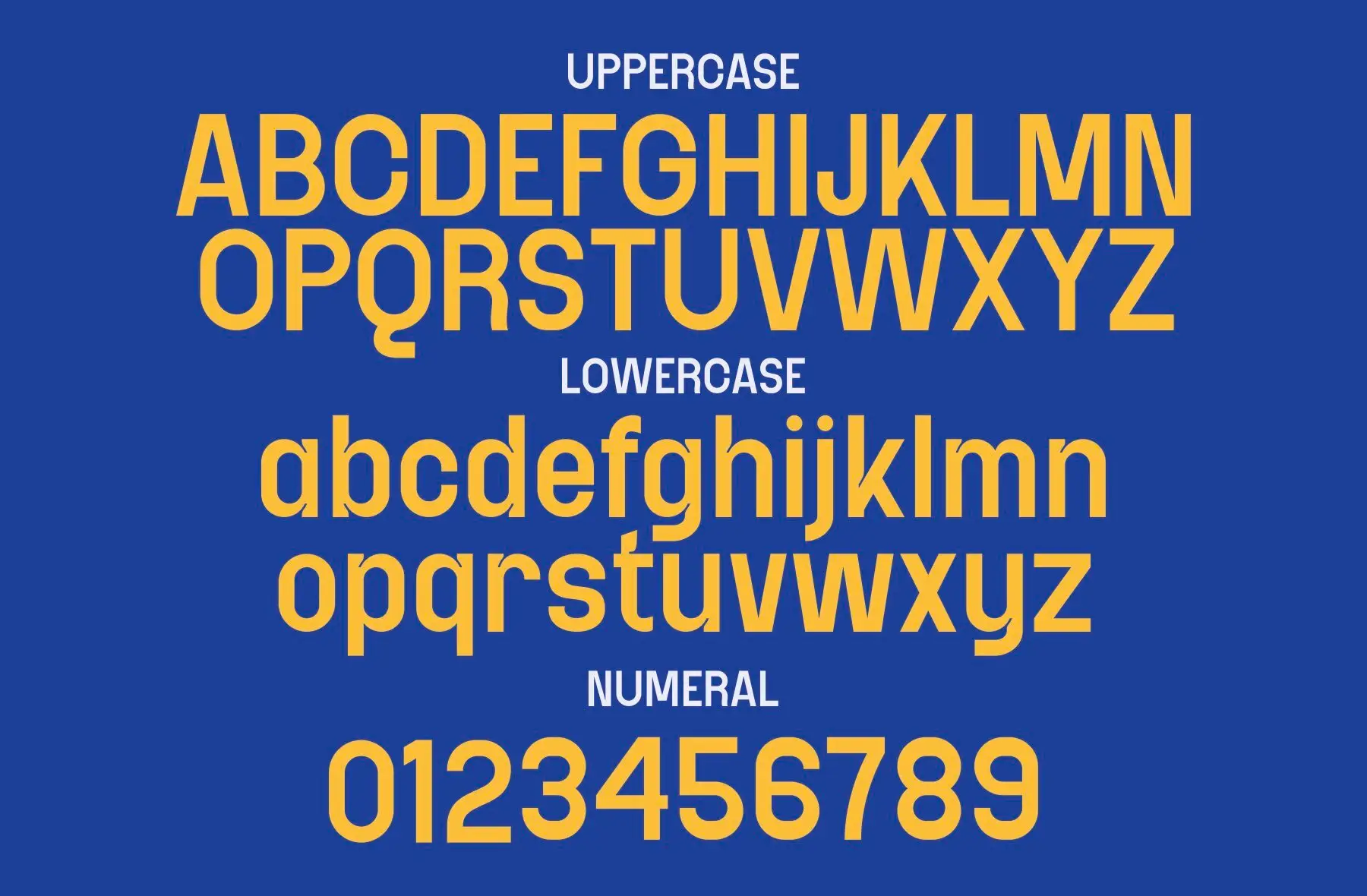 Nelsond Font - YouWorkForThem