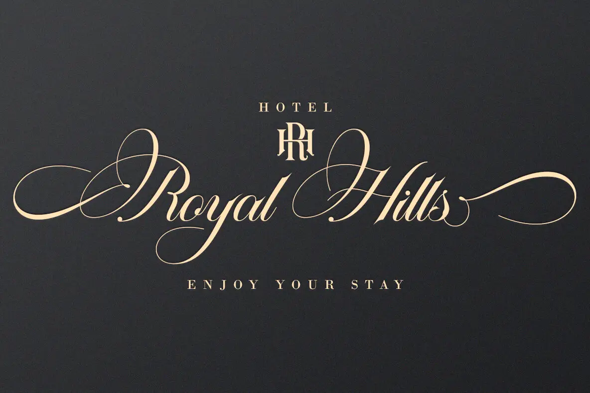 Platinum Script Font - YouWorkForThem