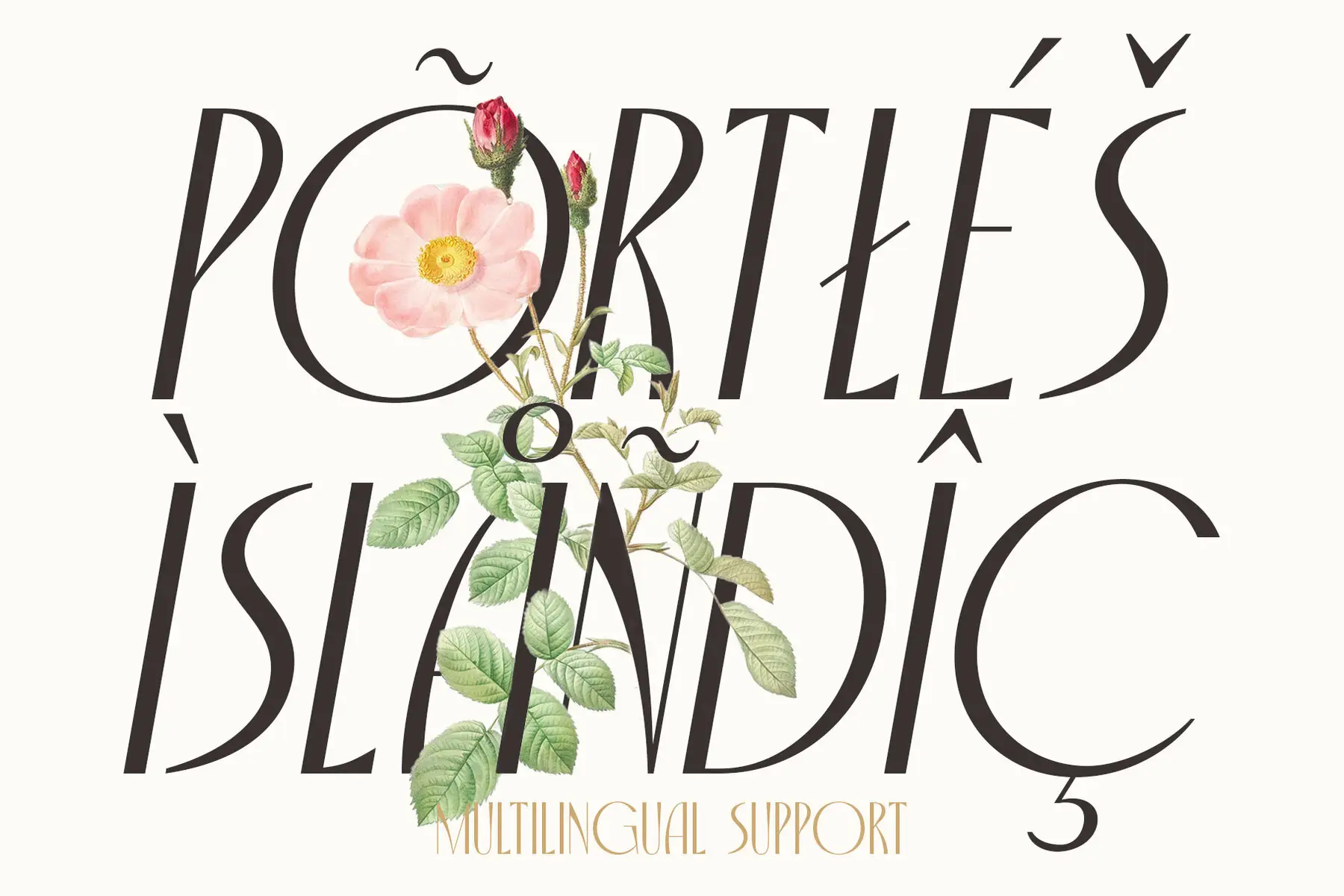 Capires Font - YouWorkForThem