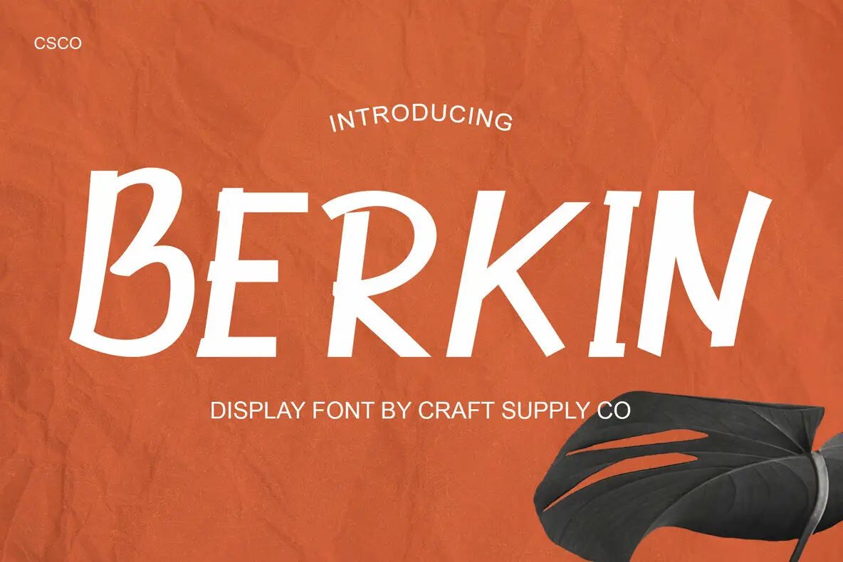 Berkin Font - FontPath