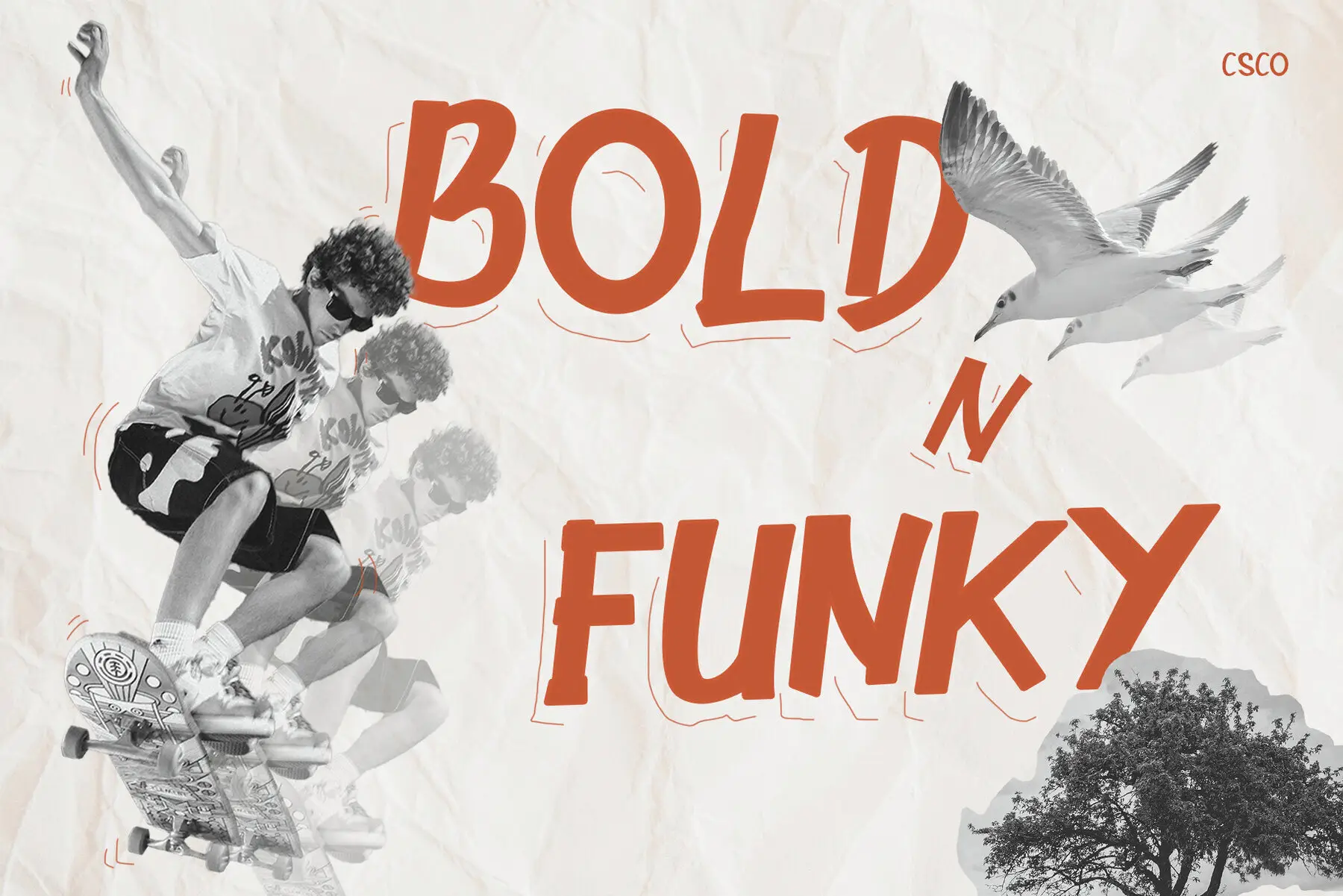 Berkin Font - FontPath
