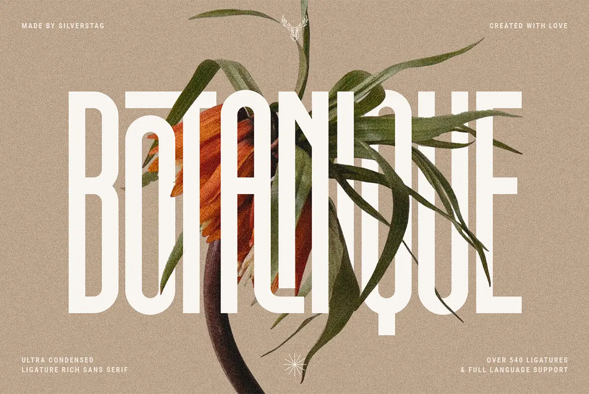 First Contact Font - FontPath
