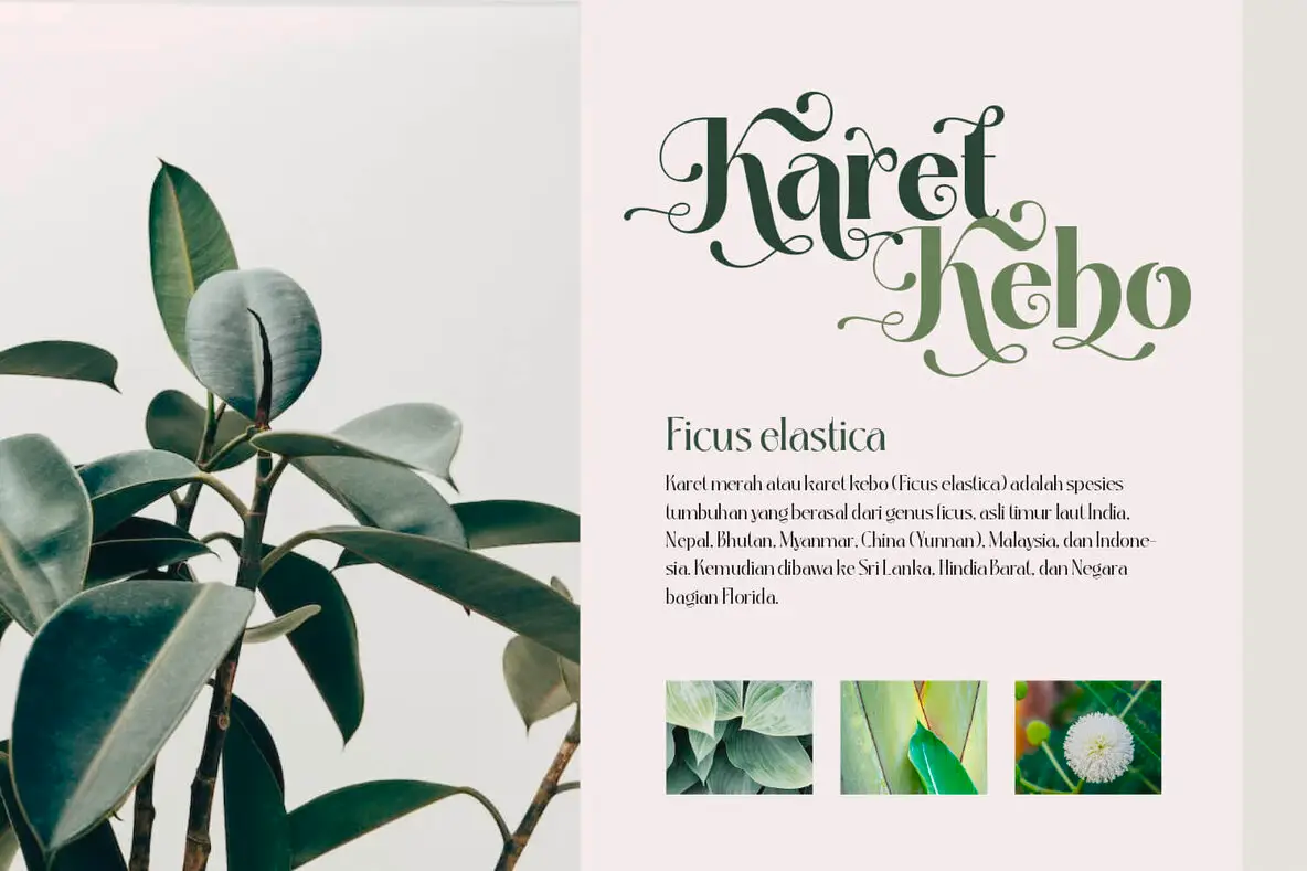 Kathy Style Font - YouWorkForThem