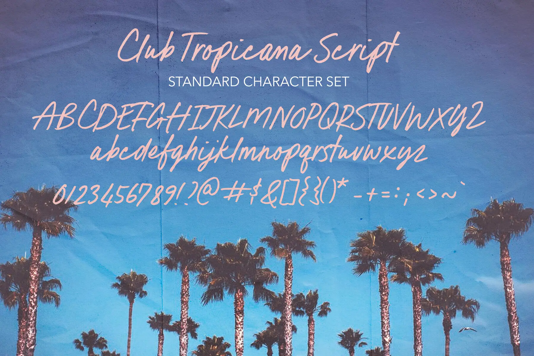 Club Tropicana! Font - YouWorkForThem